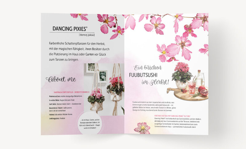 YOMOMO: Dancing Pixies (Heuger) Corporate Design