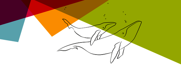 YOMOMO: Werbeagentur für Nachhaltigkeit – YOMOMO