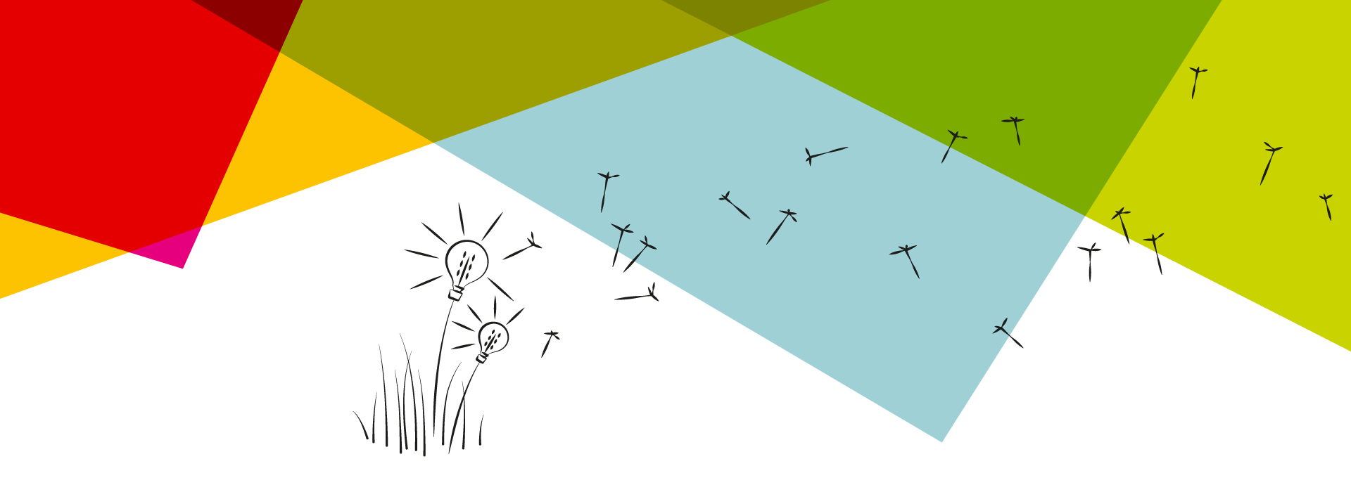 YOMOMO: Testprojekt – YOMOMO Werbeagentur